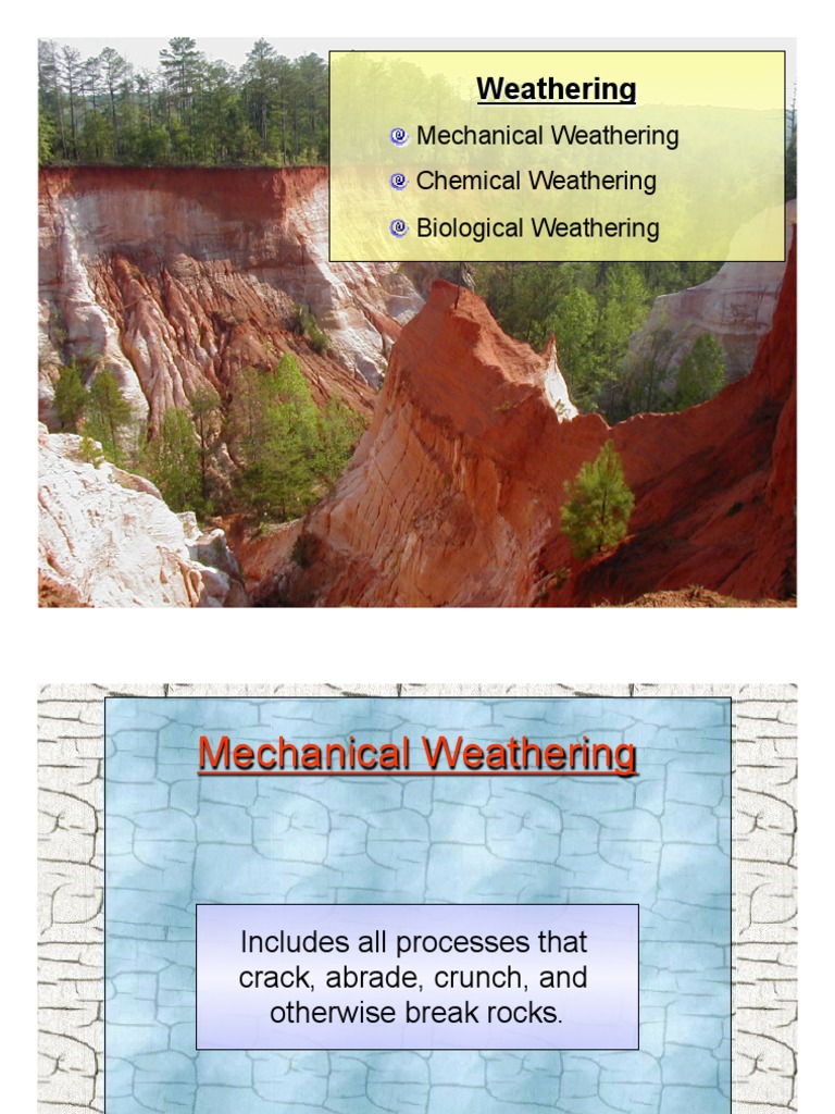Biological Weathering Of Rocks