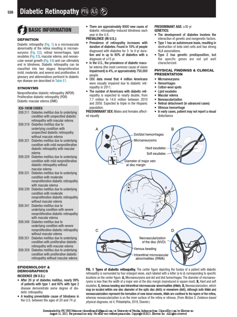 Diabetic Retinopathy: Basic Information | PDF | Medicine | Diseases And ...
