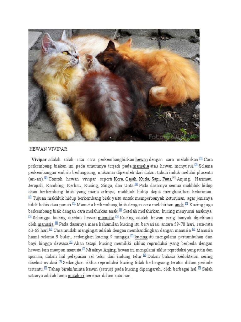 Hewan Vivipar | PDF