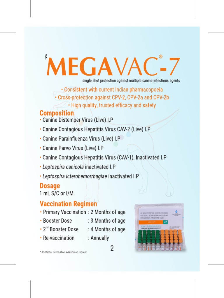 Megavac 7 | PDF