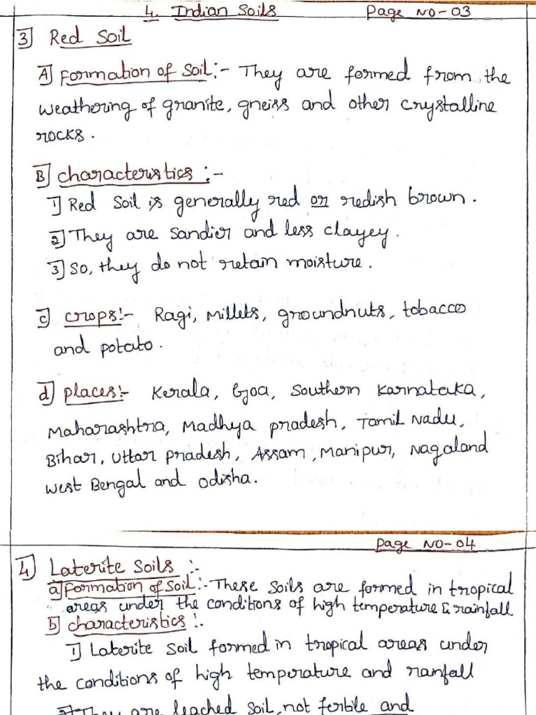 Today's Notes-2 | PDF