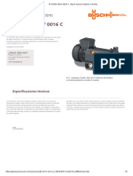 R5 RA 0063 - 0100 F - Busch Vacuum Solutions Colombia | PDF | Vacío