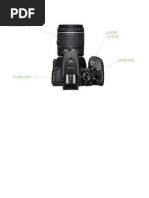 Pavlova (Episode) Script Bluey Wiki Fandom | PDF