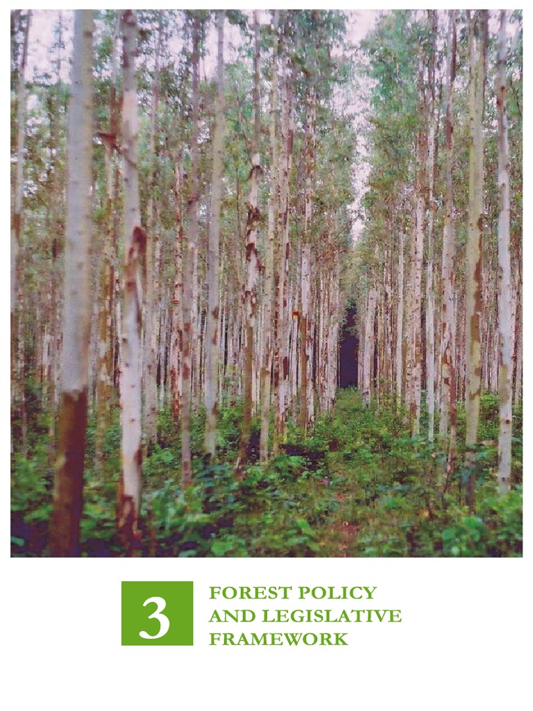 Forest Policy | PDF