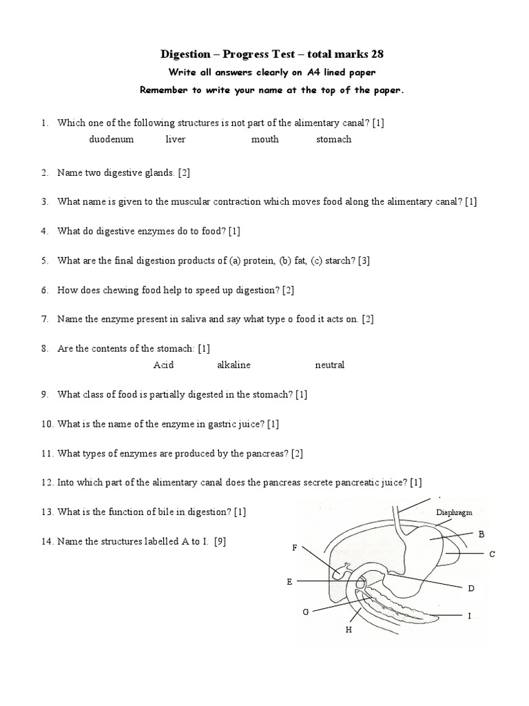 Digestion Progress Test | PDF