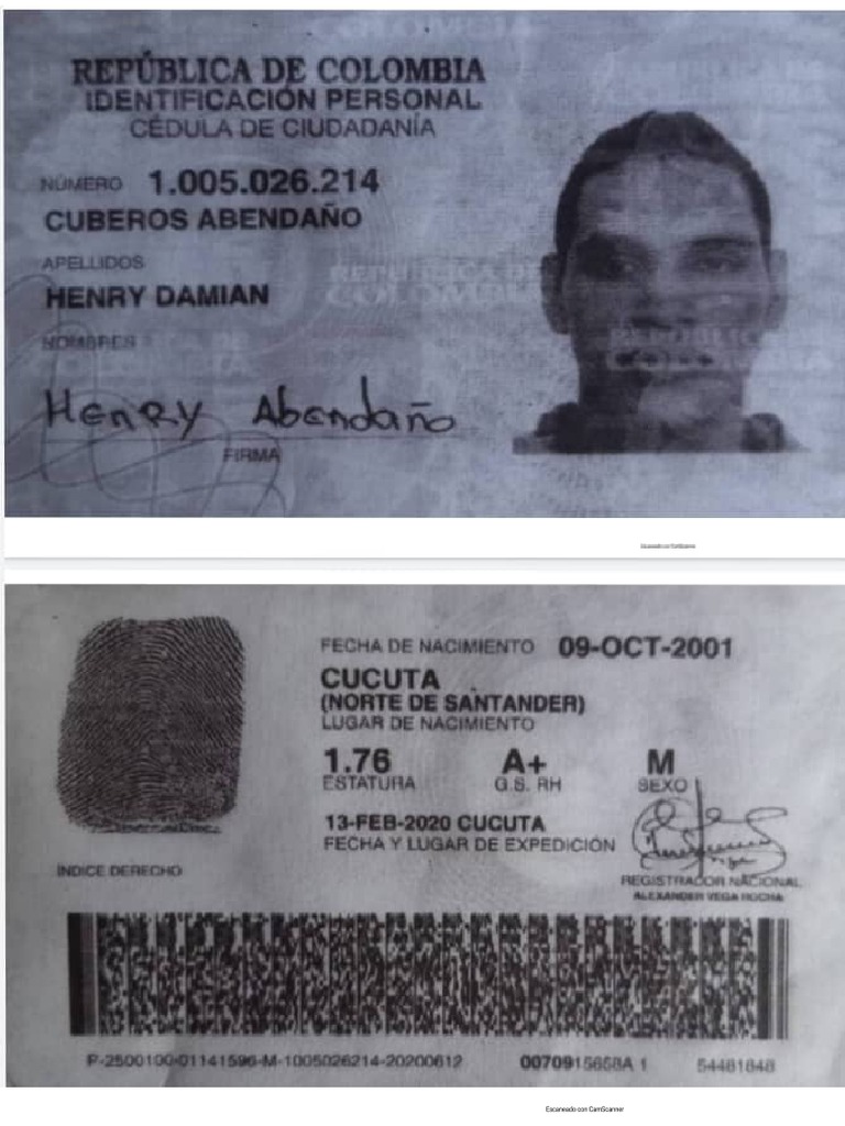Cedula Henry Damian PDF | PDF