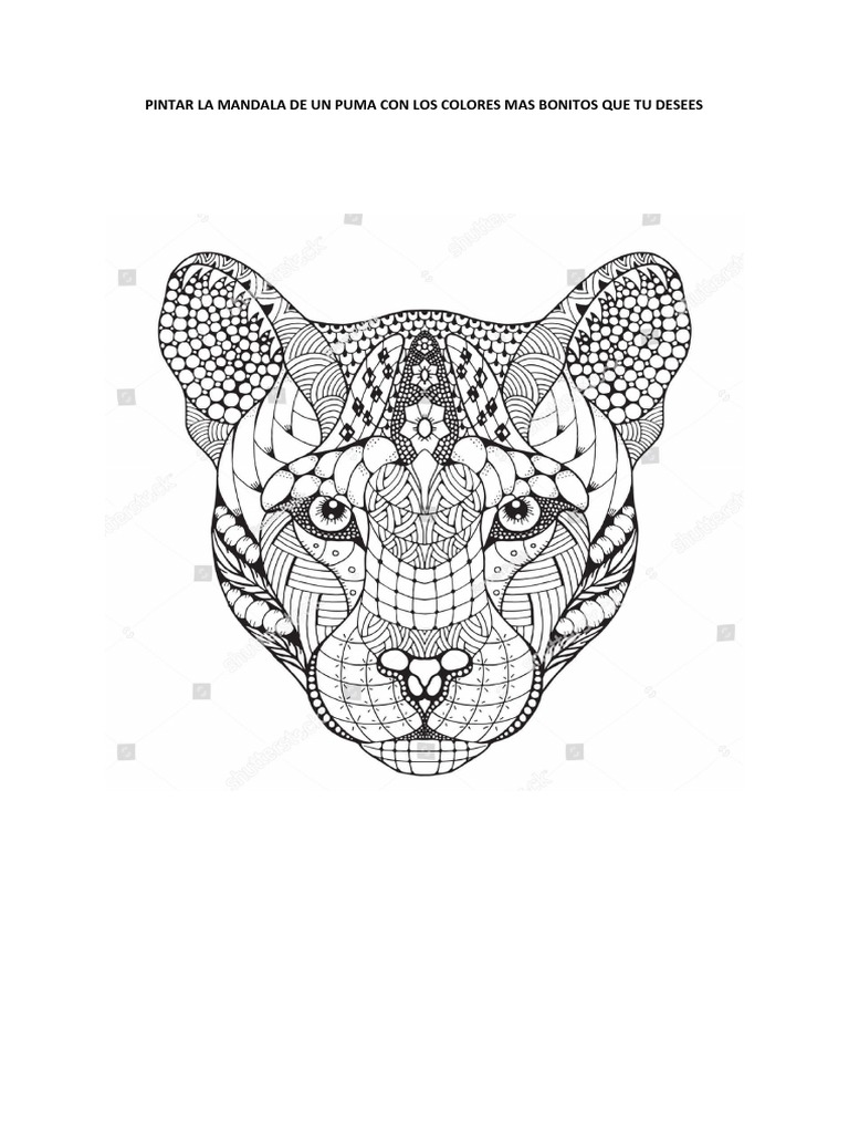 Mandala de Un Puma | PDF