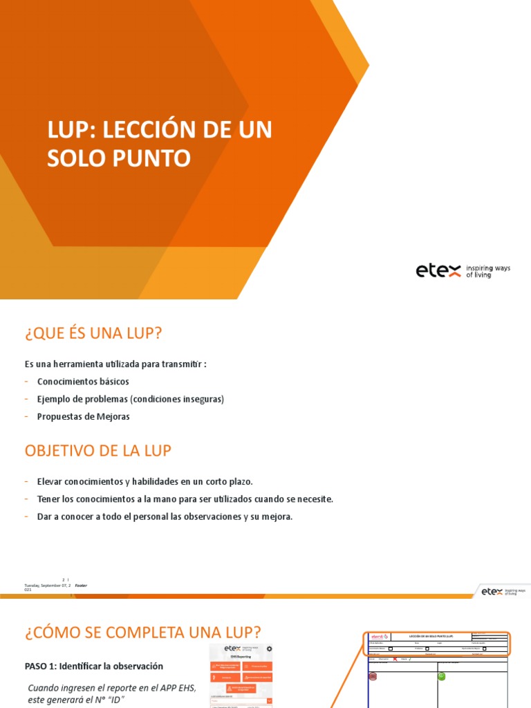 Guia para El Llenado de Una Lup | PDF