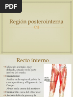 Músculos Posteriores de la Pierna | PDF | Anatomía humana | Tejido suave