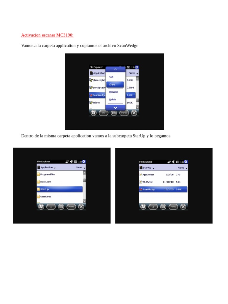 Activacion Escaner SAP | PDF
