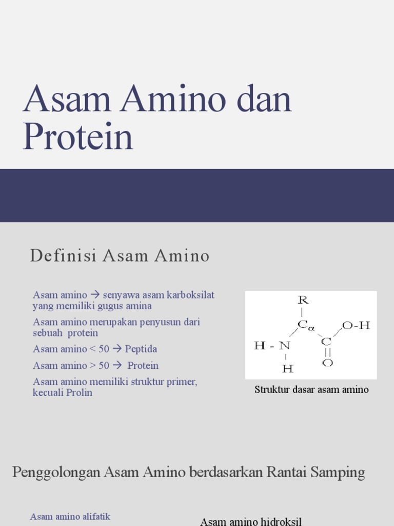 Struktur dan Fungsi Protein | PDF | Sains & Matematika