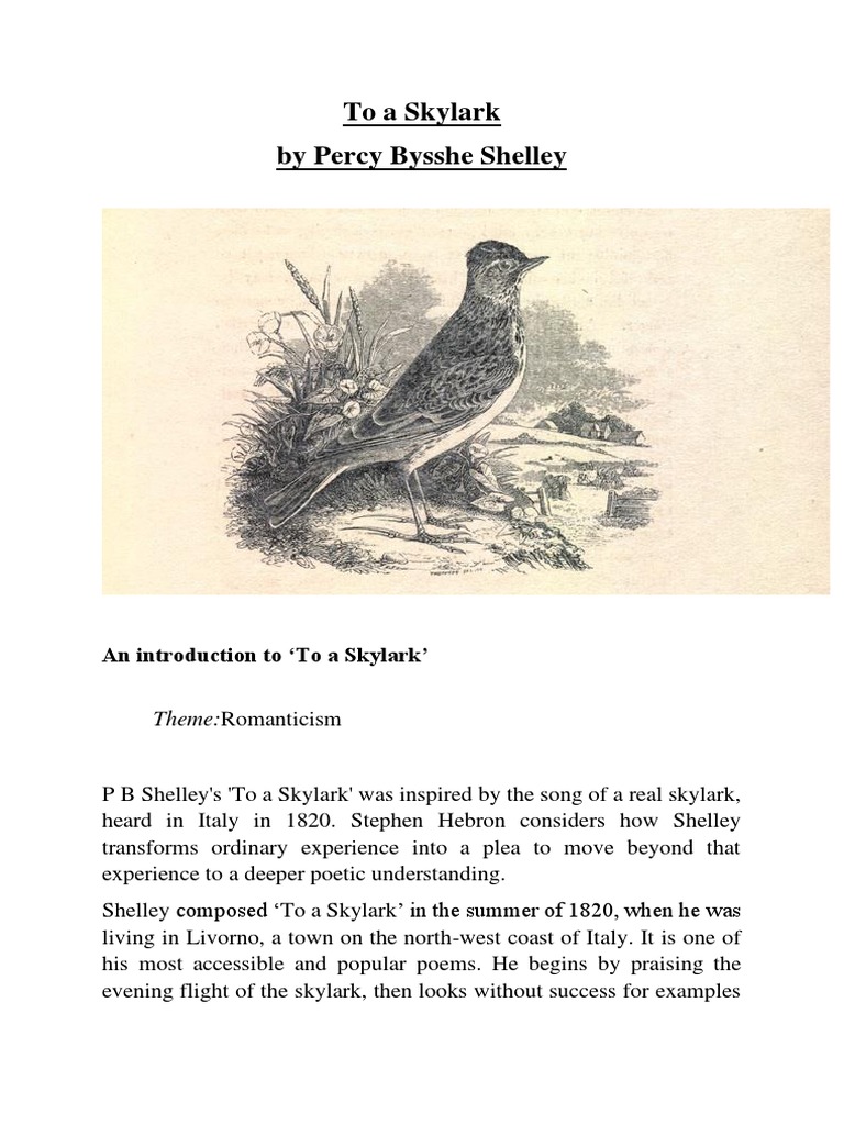 Skylark Summary Analysis | PDF