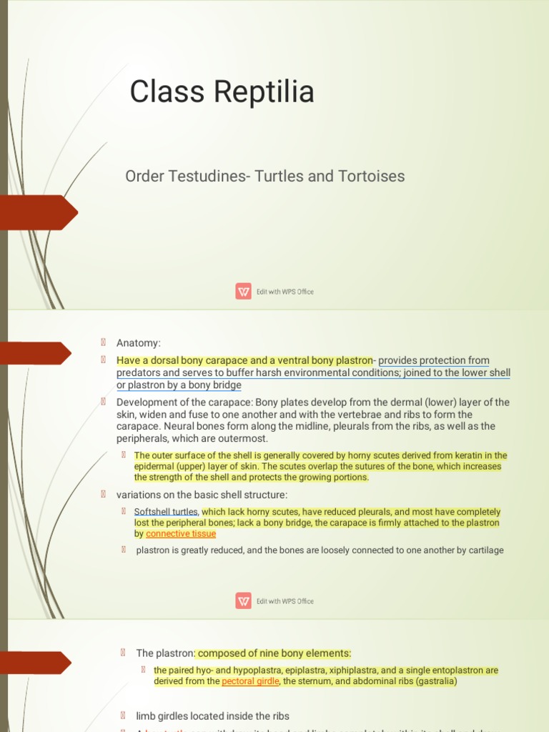 Emerging Diseases of Testudines: Intranuclear Coccidiosis (TINC) - A ...