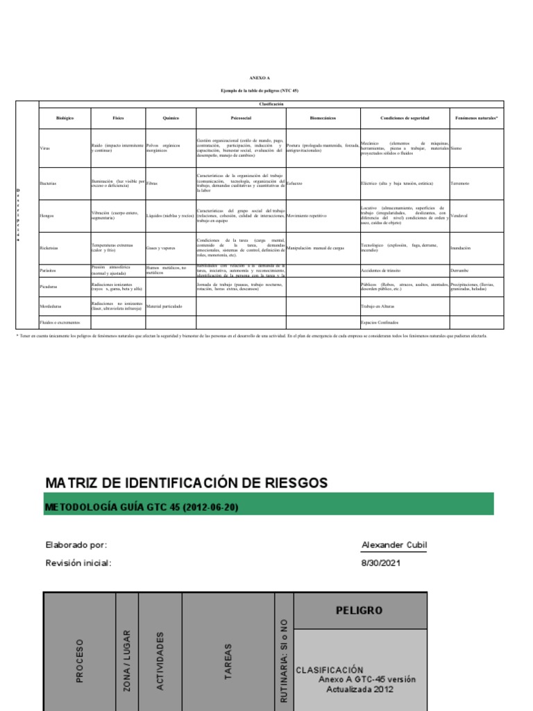 Matriz de Identificación de Riesgos | PDF | Temblores | Biomecánica