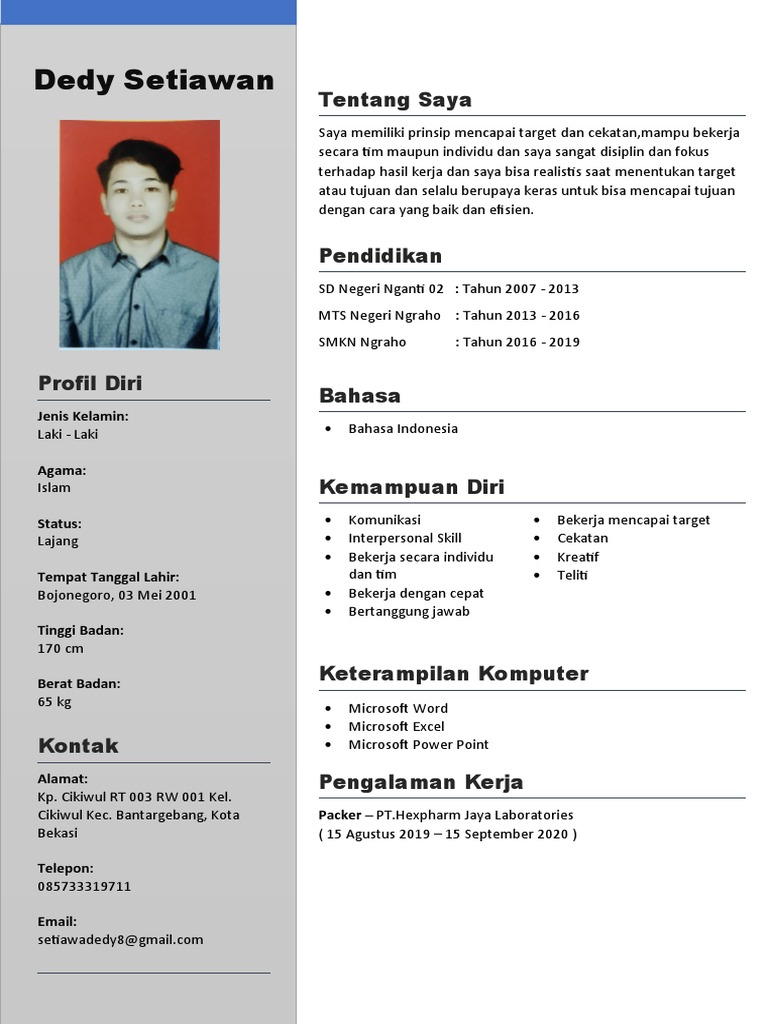 CV - Dedy Setiawan | PDF