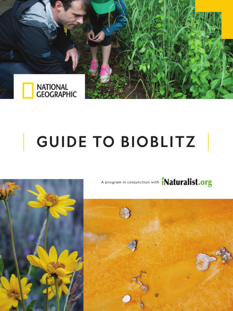 BioBlitz Guia | PDF | Organisms | Science