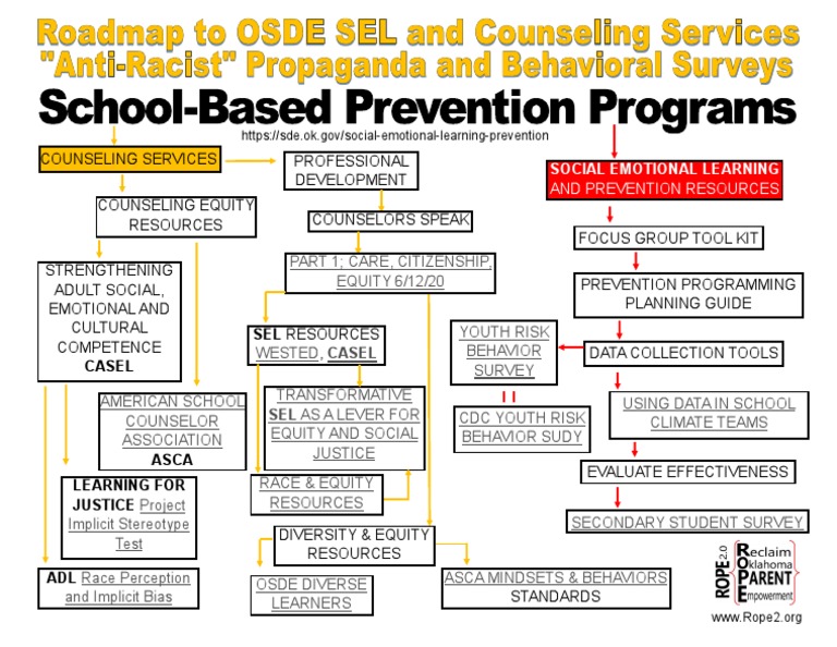 Roadmap of SEL, 'Anti-Racist' and Youth Behavior Surveys On The ...
