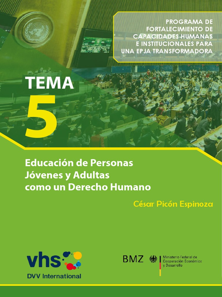 Tema 5 - Epja Como Un DHF | PDF | Derechos humanos | Naciones Unidas