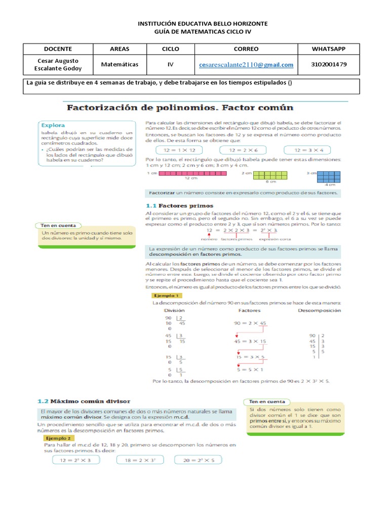 GUIA 1 Matemáticas Ciclo IV | PDF