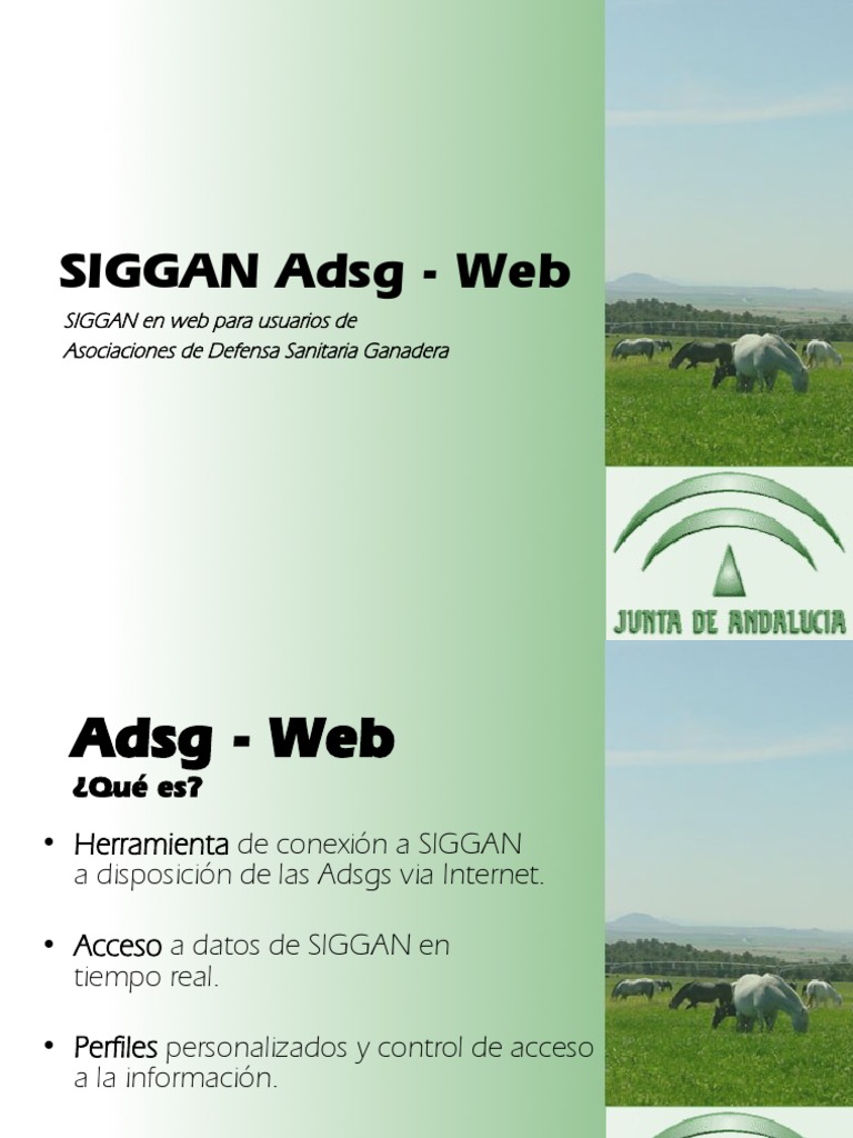 Acceso a SIGGAN Adsg Web | PDF | Red mundial | Internet y web