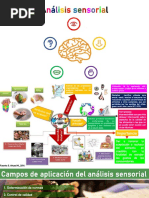 Mapa Conceptual - Evaluaciones Sensorial | PDF | Sabor | Gusto