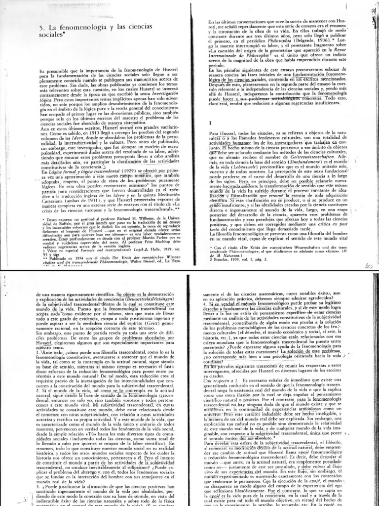 Alfred Schutz - La Fenomenologia y Las Ciencias Sociales | PDF