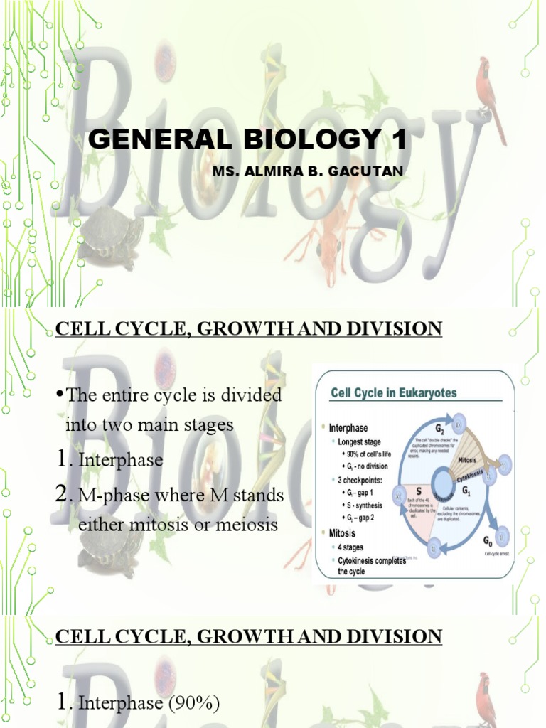 Cell Cycle, Growth, Division and Meiosis Explained | PDF | Meiosis ...