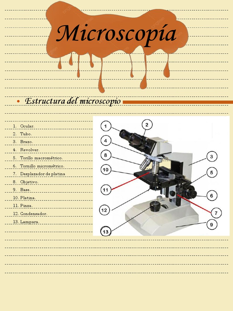 Microscopio | PDF | Tornillo | Microscopio