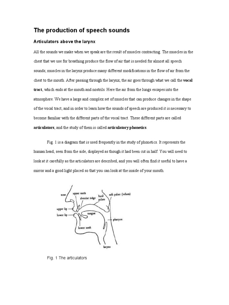 The Production of Speech Sounds | PDF | Mouth | Speech