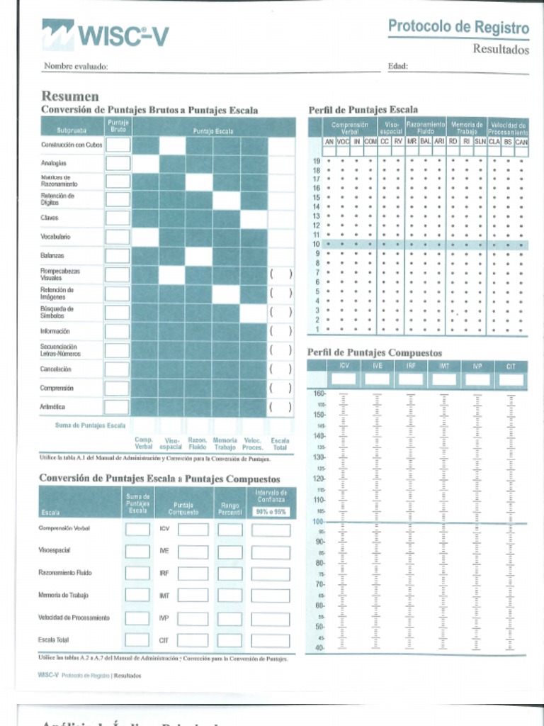 Wisc-V Protocolo Registro Resultados | PDF