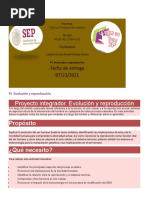 Módulo 17 Proyecto Integrador | PDF