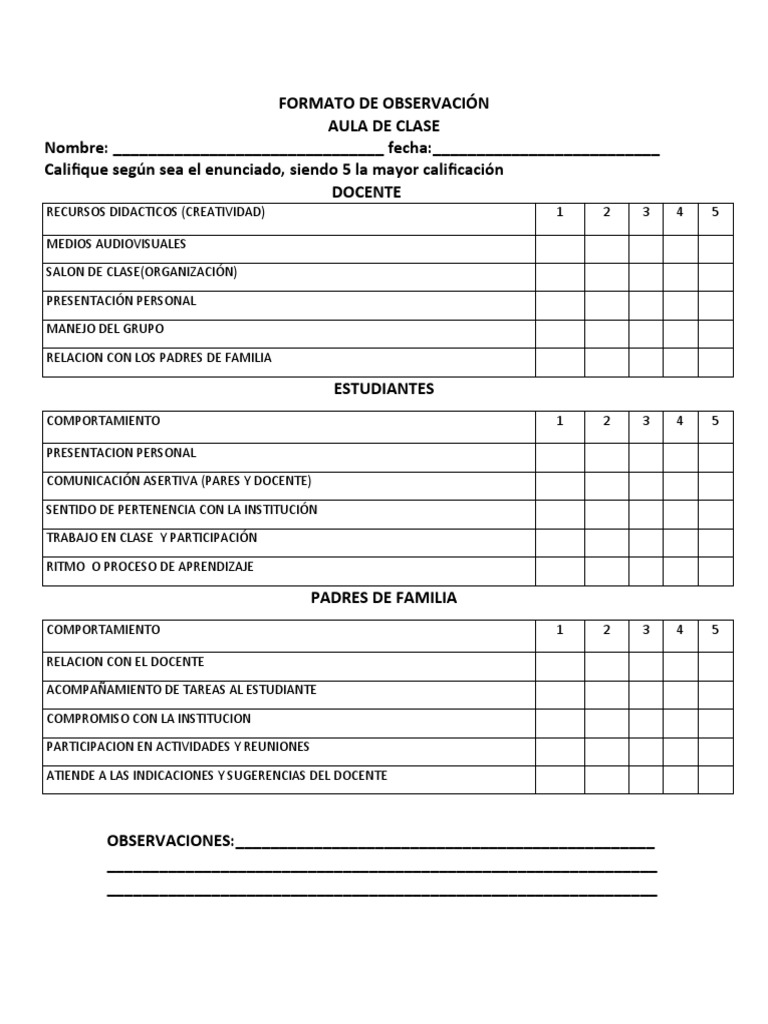 Formato de Observación - Grupo | PDF
