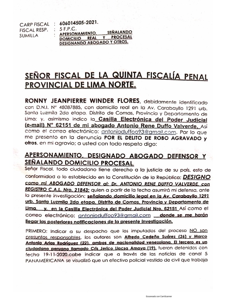 Escrito de Apersonamiento | PDF