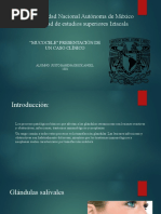 Microglosia y Macroglosia | PDF | Inflamación | Lengua