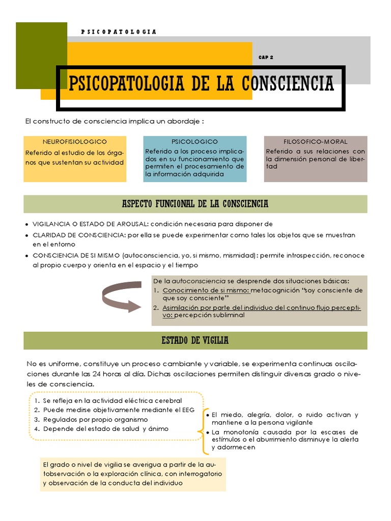 Psicopatologia de La Conciencia Cap 2-Resumen | PDF | Atención ...