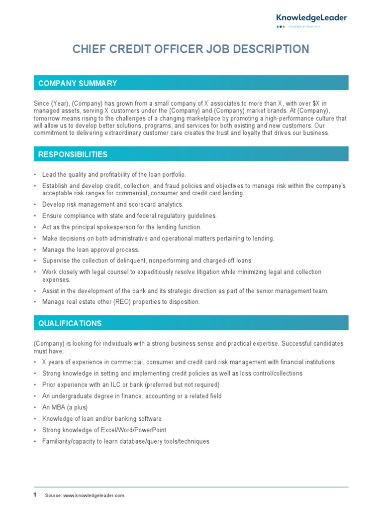 Chief Credit Officer Role Overview | PDF