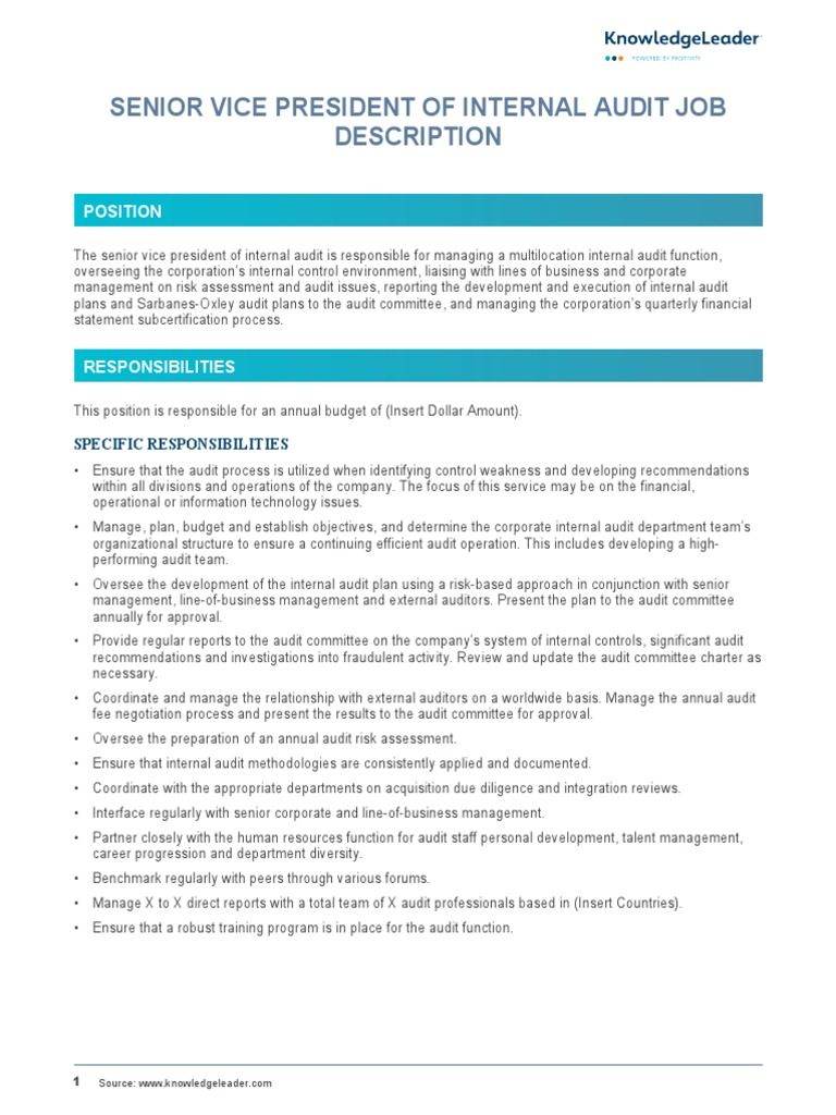 Senior Vice President of Internal Audit Job Description | Download Free ...