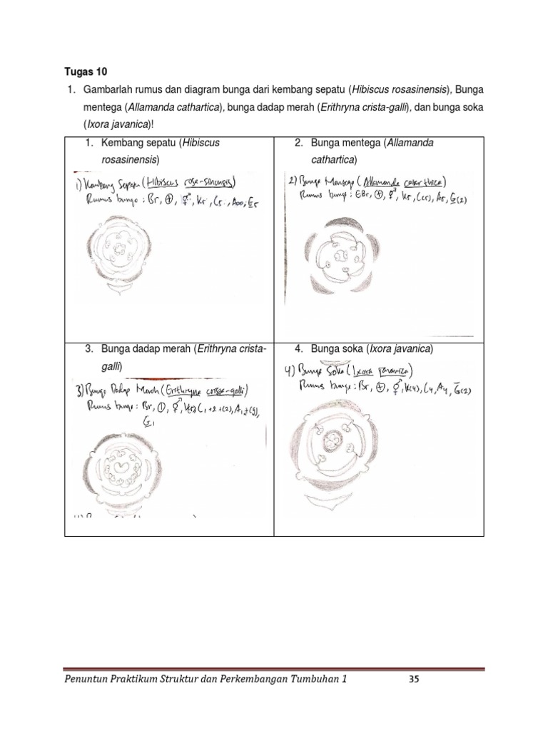 Himawan Prasetyo - 140410200094 - Rumus Dan Diagram Bunga | PDF