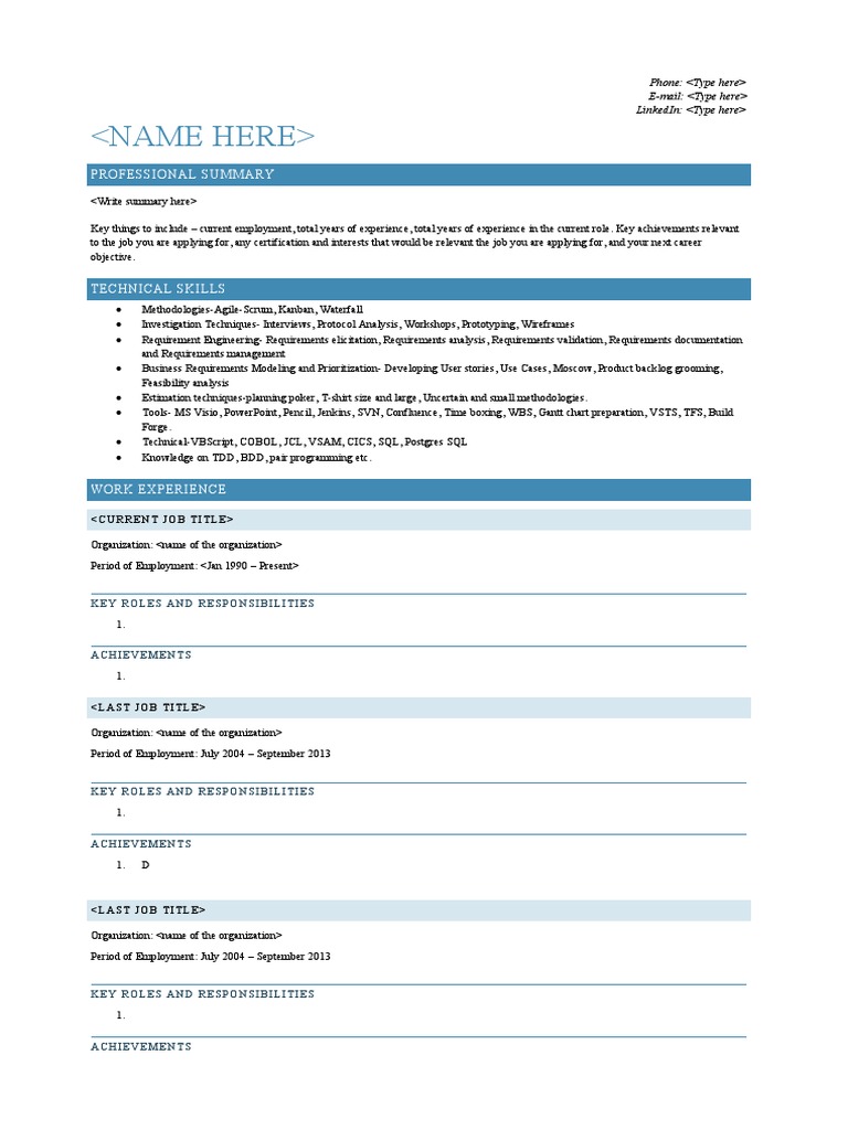 Resume Template - Light Blue - Professional | PDF | Computer Science ...