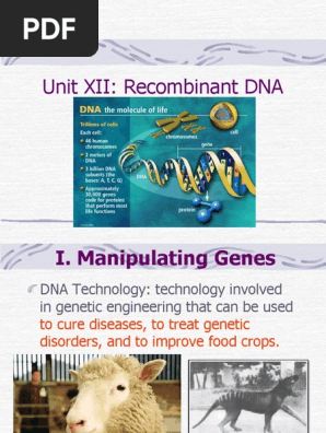 Recombinant Dna Animals