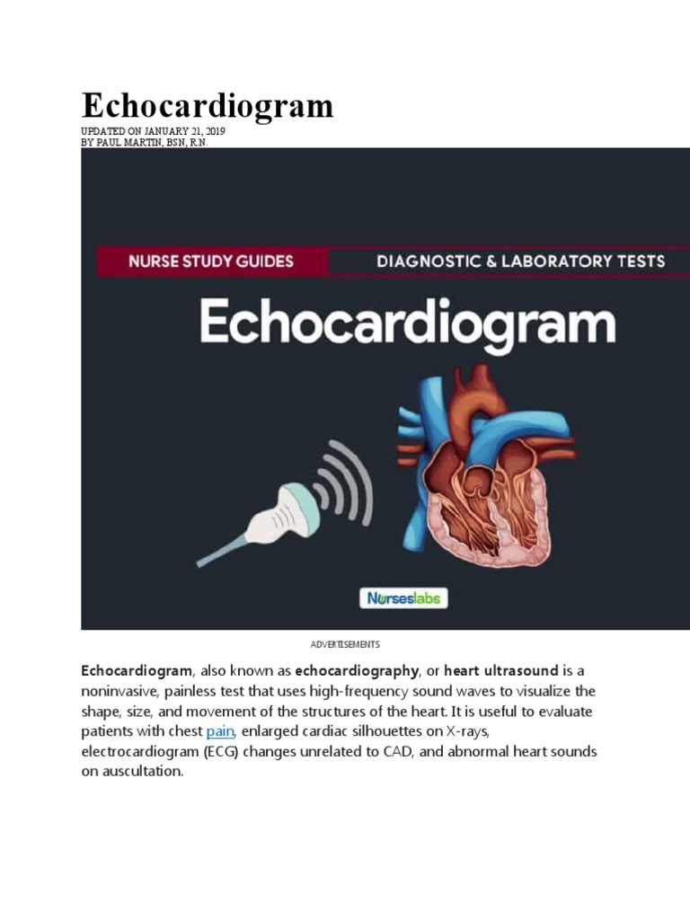 Echocardiogram: Echocardiogram, Also Known As Echocardiography, or ...