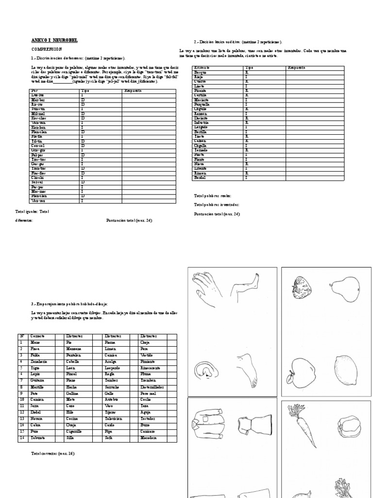 Neurobel | PDF | Afasia | Ciencia cognitiva