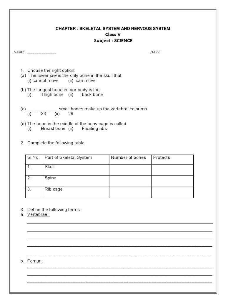 CBSE Class 5 Science Worksheets (13) - Skeletal and Nervous System ...