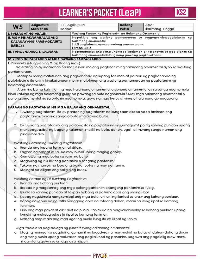 Q4 Elem AFA 4 Week5 | PDF