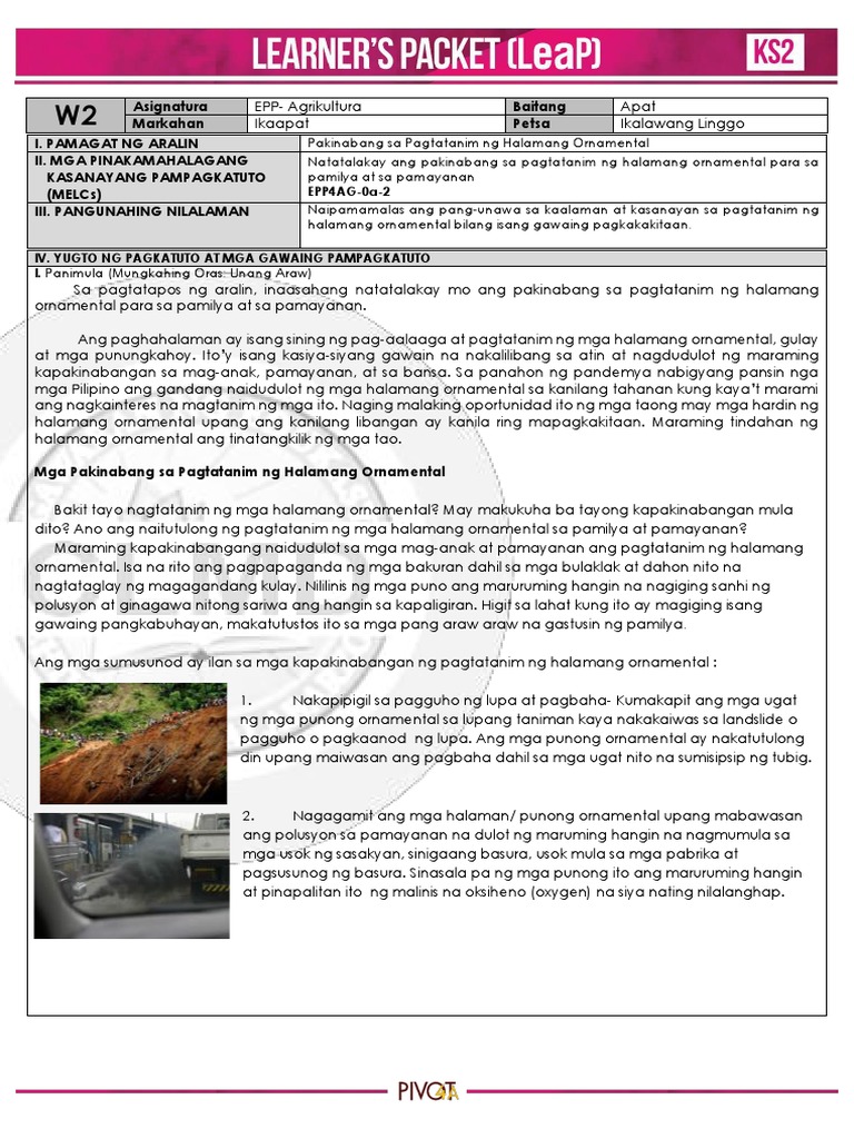 Q4 Elem AFA 4 Week2 | PDF