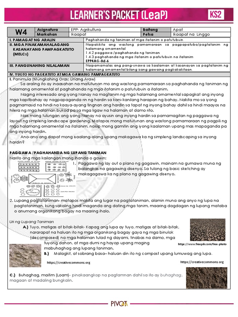 Q4 Elem AFA 4 Week4 | PDF
