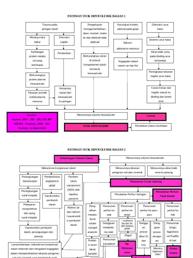 (PDF) Pathway Syok Hipovolemik Intensif - Compress - Compress | PDF