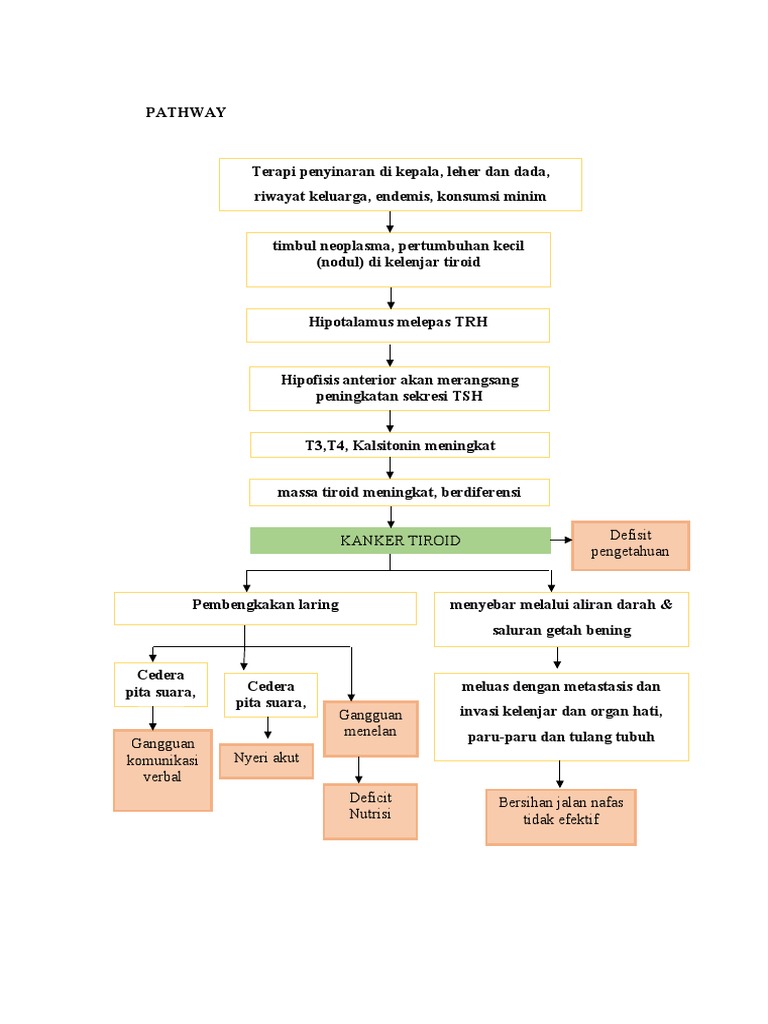 Pathway CA Tyroid | PDF | Kesehatan Holistik