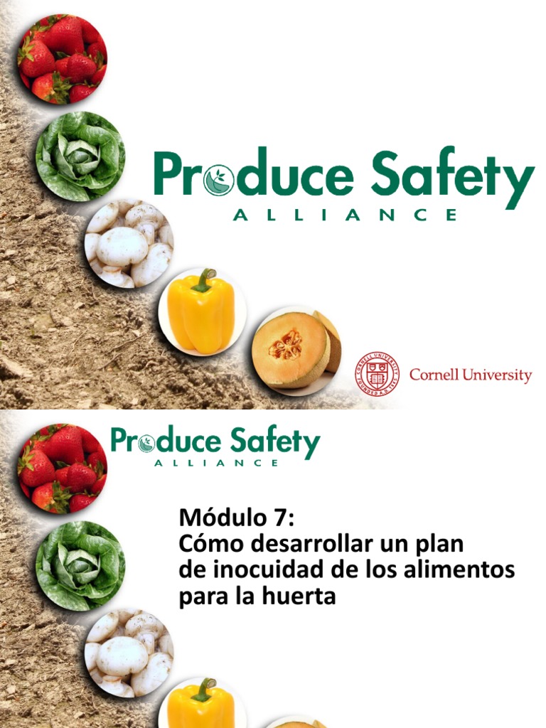Spanish 7 How To Write A Food Safety Plan V1 - 1 | PDF | Seguridad ...