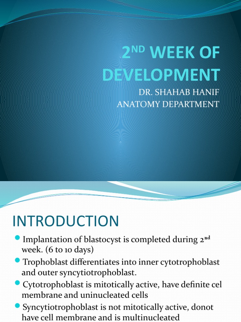 2nd Week of Development | PDF | Implantation (Human Embryo) | Biology